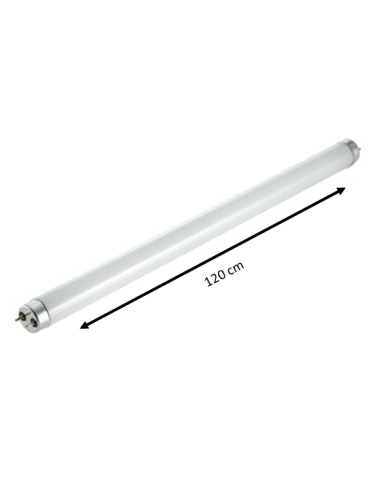 ampoule.fr - Tube néon T8 fluo 120cm 36W G13 220V Lumière du Jour 6400K